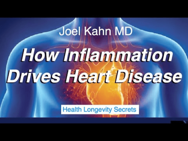 How Inflammation Drives Heart Disease - Stephen Sideroff